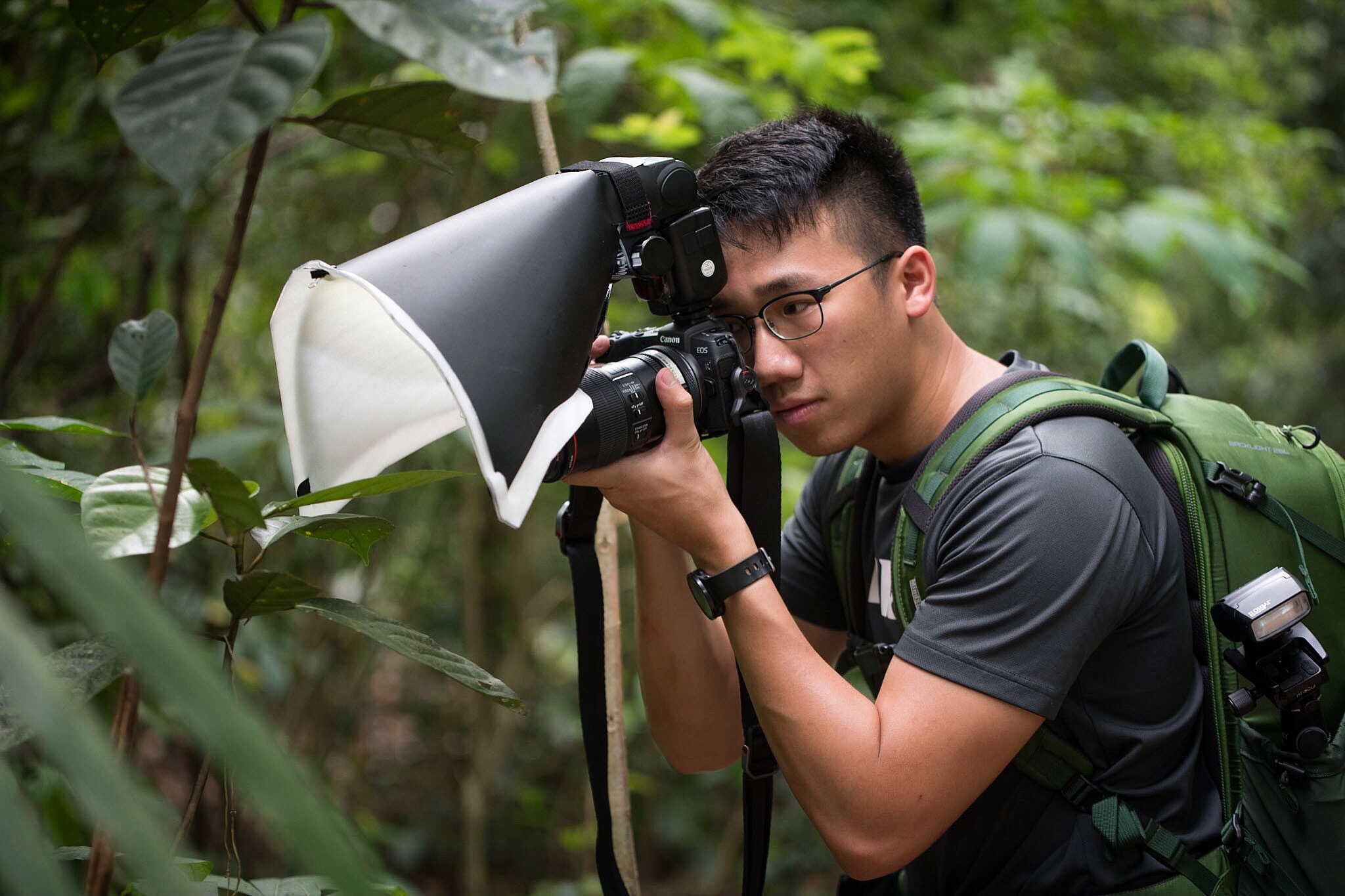 Introduction to Macrophotography – Lenz Lim Photography