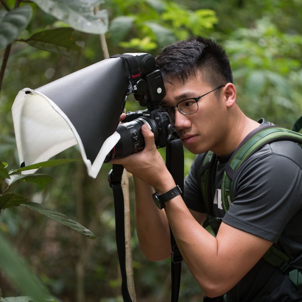 The Ultimate Guide to Mastering Diffusion, the Secret Ingredient for ...