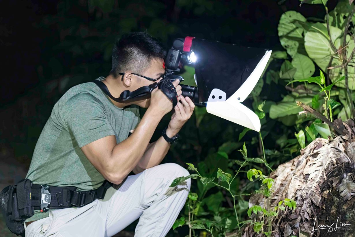 The Ultimate Guide to Mastering Diffusion, the Secret Ingredient for ...