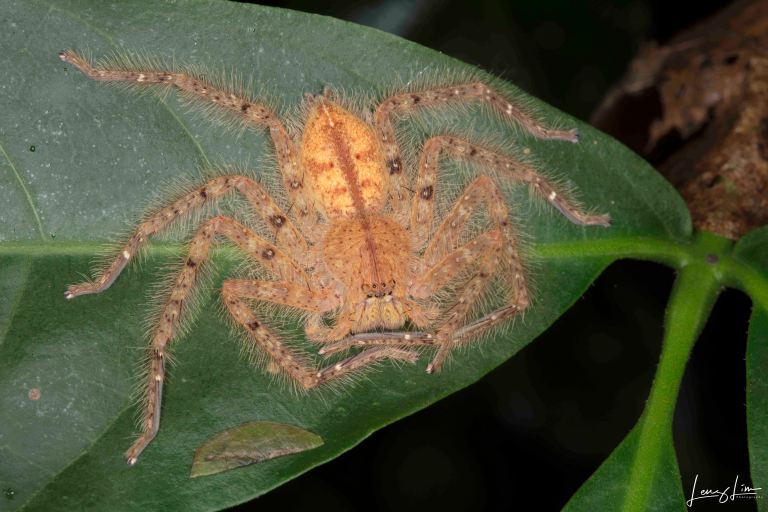 The Ultimate Guide to Mastering Diffusion, the Secret Ingredient for ...