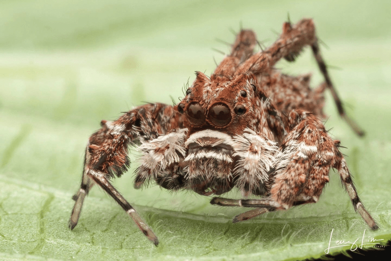 The Ultimate Guide to Mastering Diffusion, the Secret Ingredient for ...