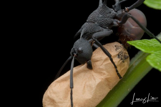 The Ultimate Guide to Mastering Diffusion, the Secret Ingredient for ...