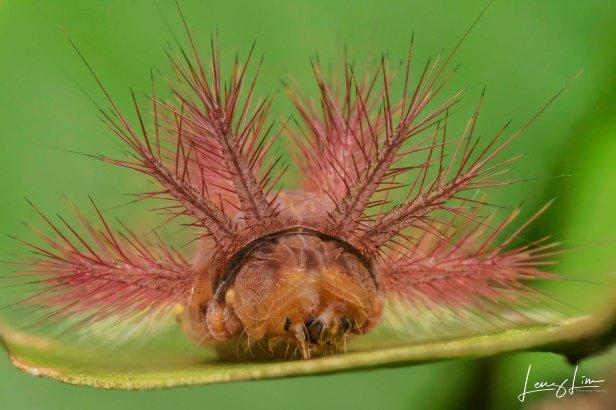 The Ultimate Guide to Mastering Diffusion, the Secret Ingredient for ...